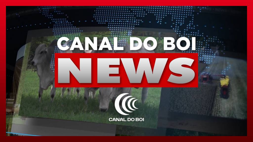 Canal do Boi News - Programa do Canal do Boi e AgroCanal - Sistema Brasileiro do Agronegócio